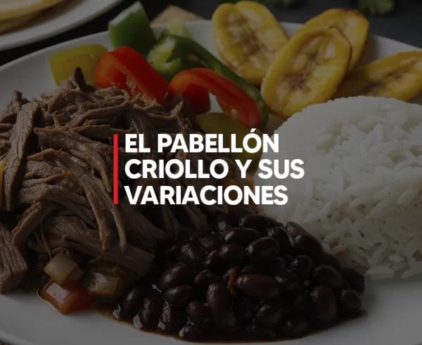 Pabellón Criollo - PANNA New Latino Food